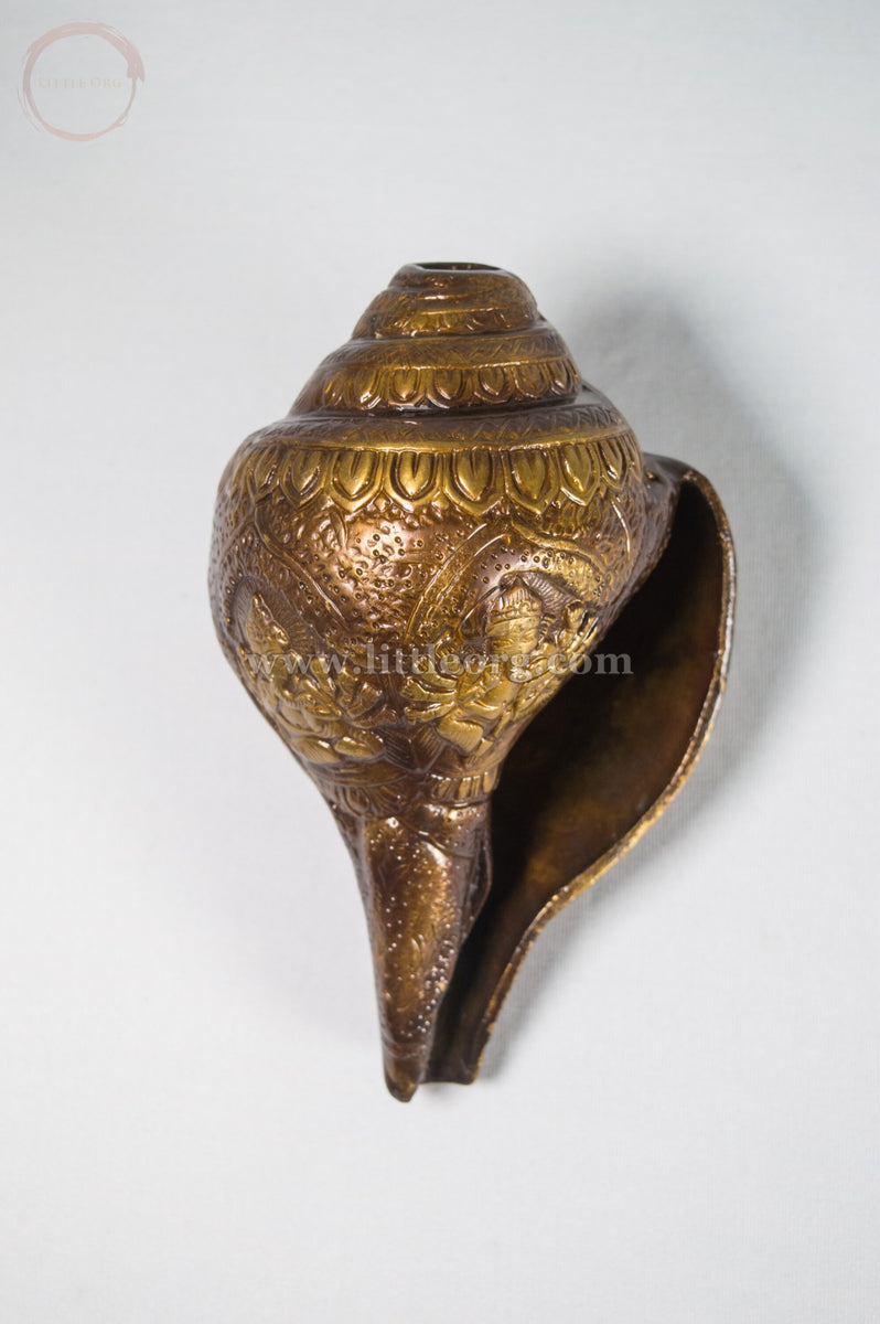 BRASS CONCH 3A – Littleorg